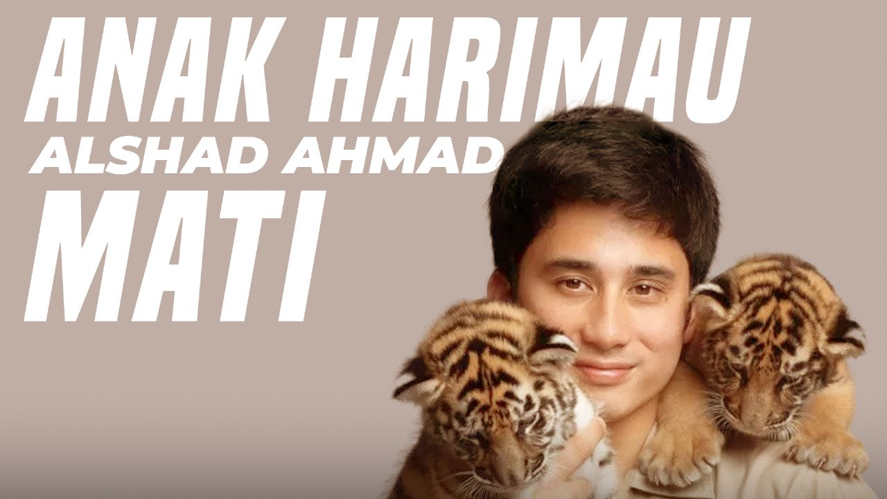 Anak Harimau Alshad Ahmad Mati Menjadi Trending di Twitter - Verona ... Anak Harimau Alshad Ahmad Mati Menjadi Trending di Twitter - Verona ...